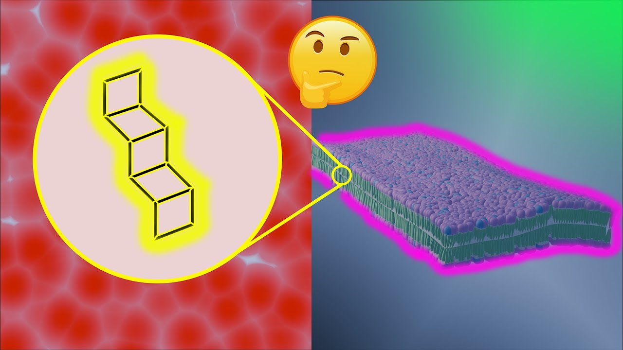 Breaking Down the Total Synthesis of Ladderane Structures: Step–by–Step ...
