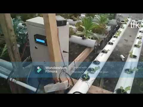 Demo sistem otomatisasi Hidroponik - YouTube