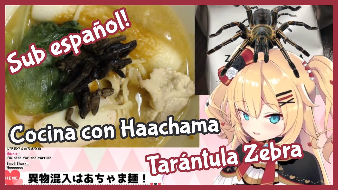 Haachama se come una Tarántula en Directo! [Haachama Cooking/ Hololive ...