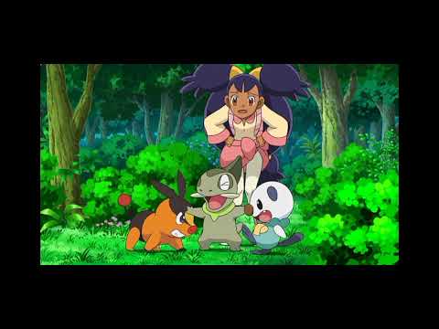 Oshawott and Tepig trying to fight - YouTube