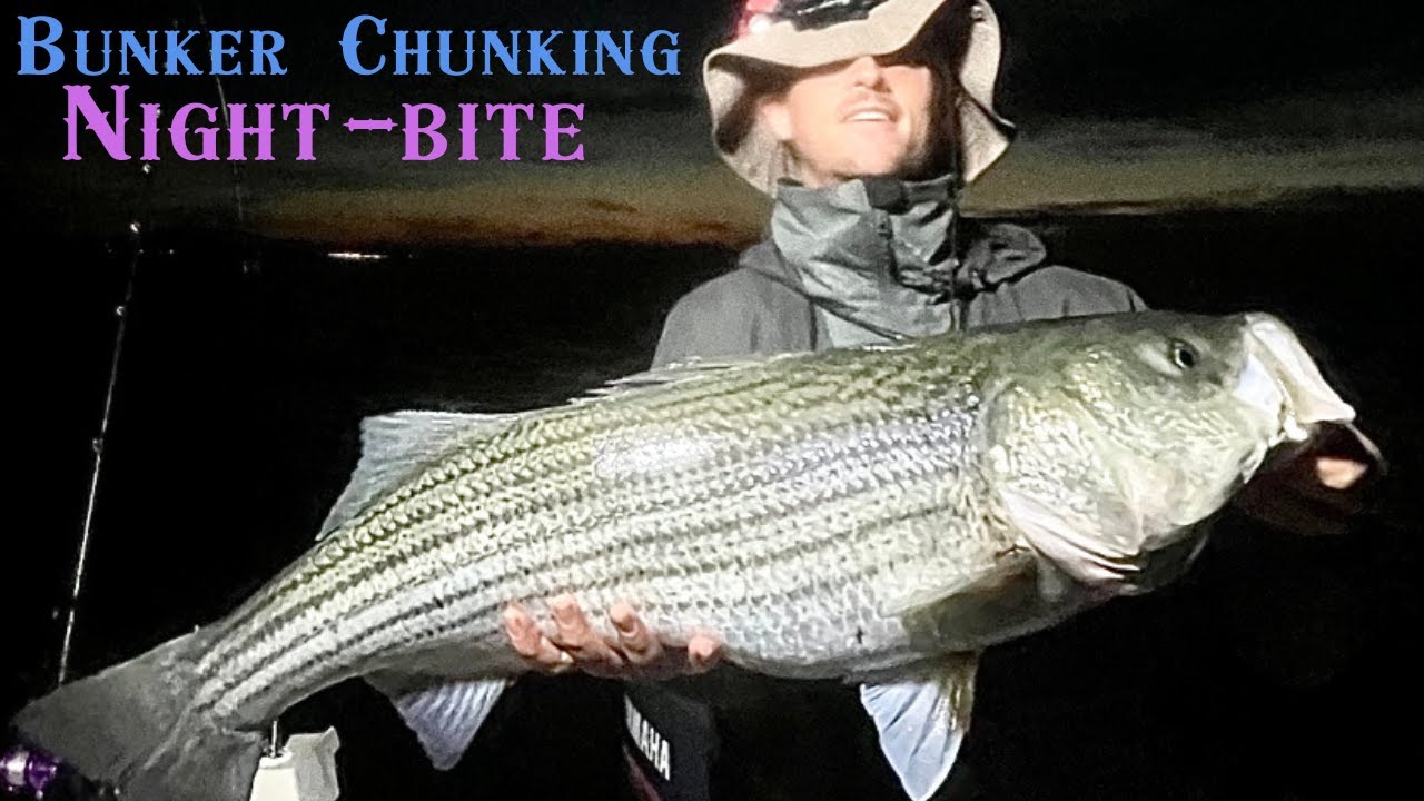 Fishing at Night: Bunker Chunks for the Win!! - YouTube
