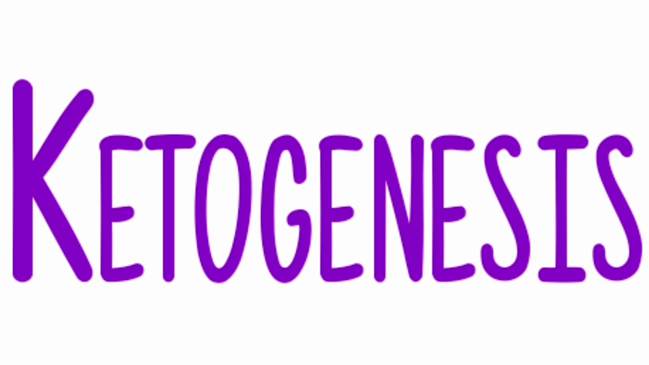 Ketogenesis : Definition, Examples of ketone bodies & classification ...