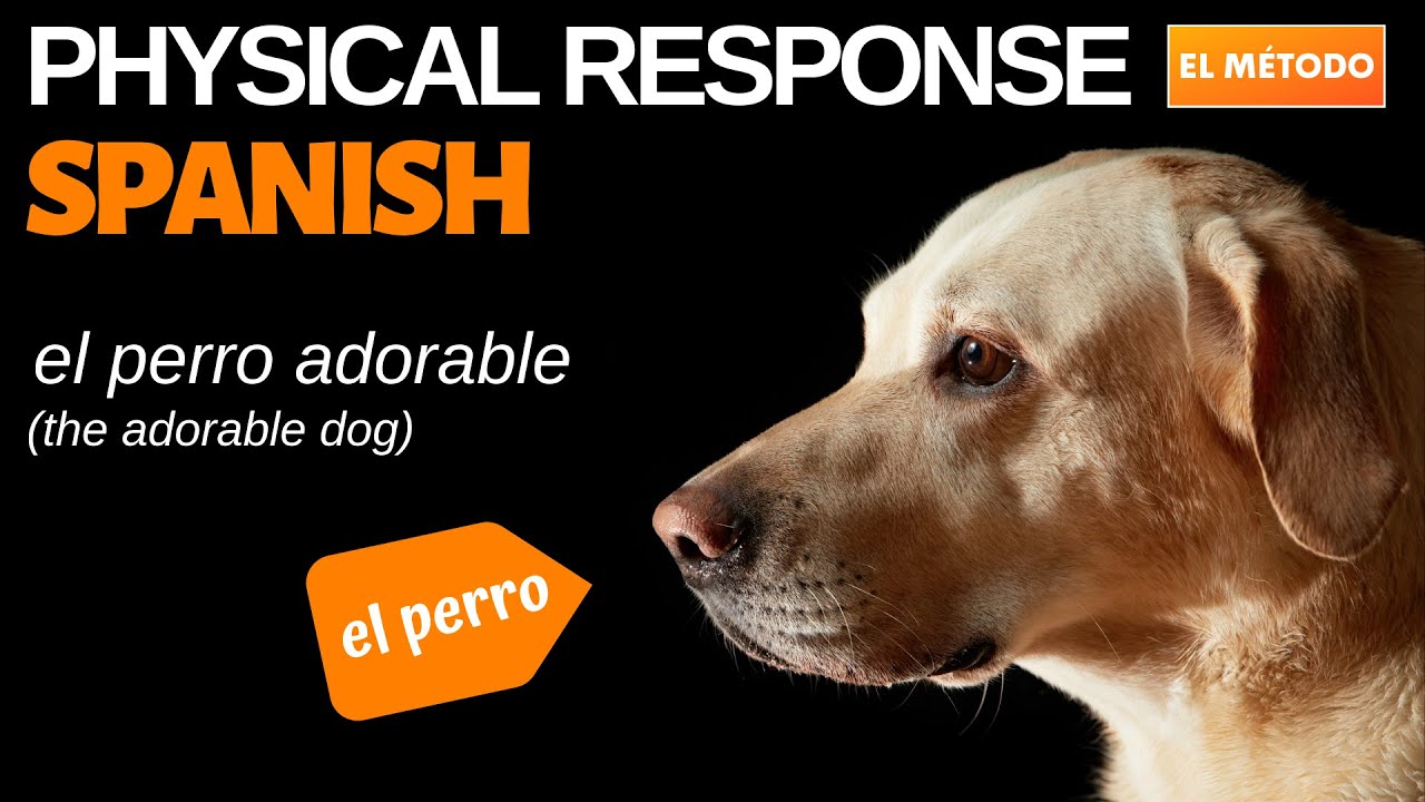 Learn Spanish Using Your Dog YouTube learn-spanish-using-your-dog-youtube
