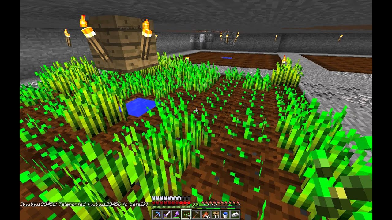 tyu and his brother (brother as tyu...) play minecraft ep 1 - YouTube