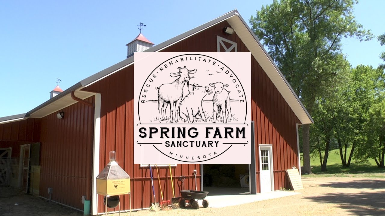 The Pulse: July 2017 (Spring Farm Sanctuary) - YouTube