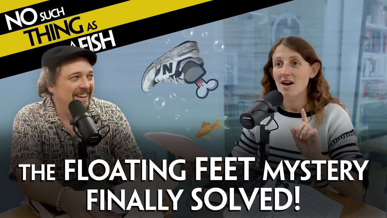 The Floating Feet Mystery Finally Solved! | NSTAAF 455 - YouTube