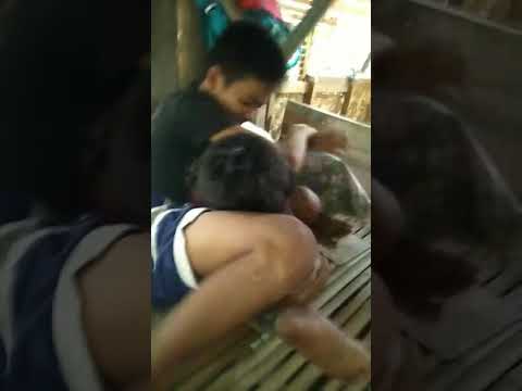 Wwe ali vs olo