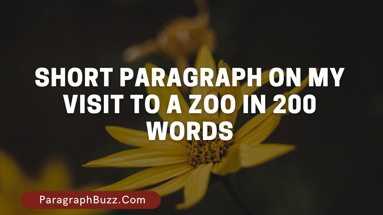 Short Paragraph on My Visit to a Zoo in 200 Words - YouTube
