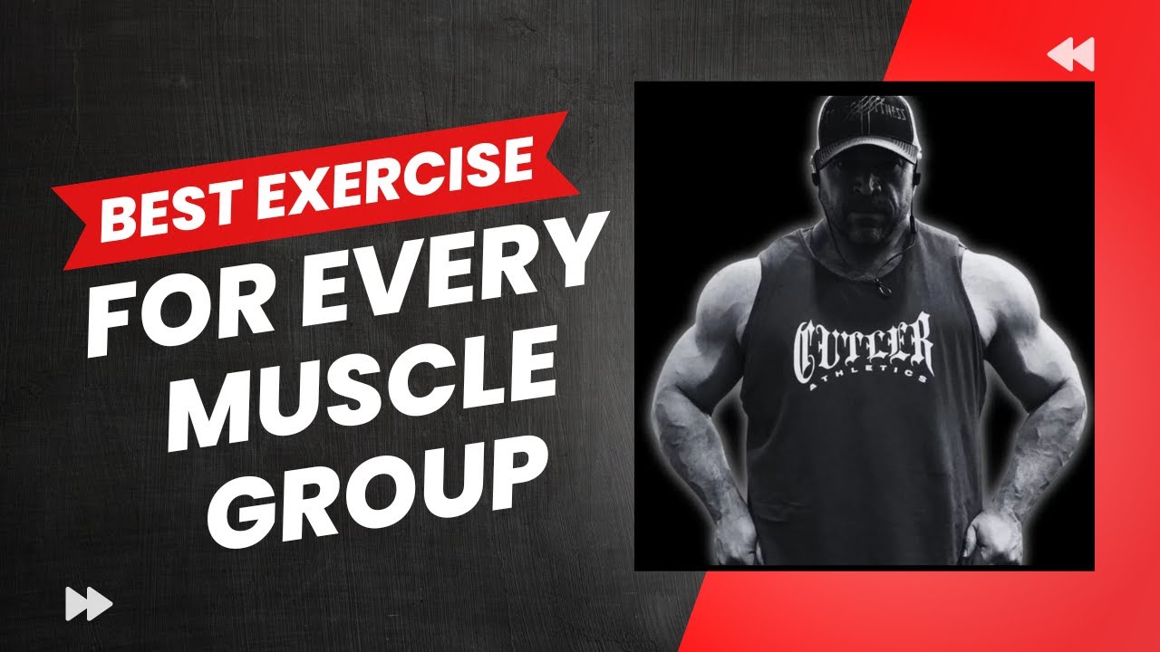 The "BEST" Exercise for Every Muscle Group - YouTube