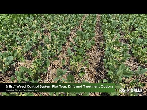 Enlist™ Weed Control System Plot Tour: Drift and Treatment Options ...