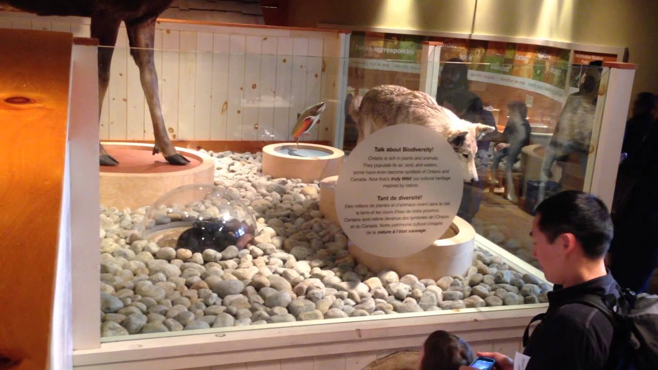 Taylor making it through cave at the ROM - Kristan & Taylor in Toronto ...