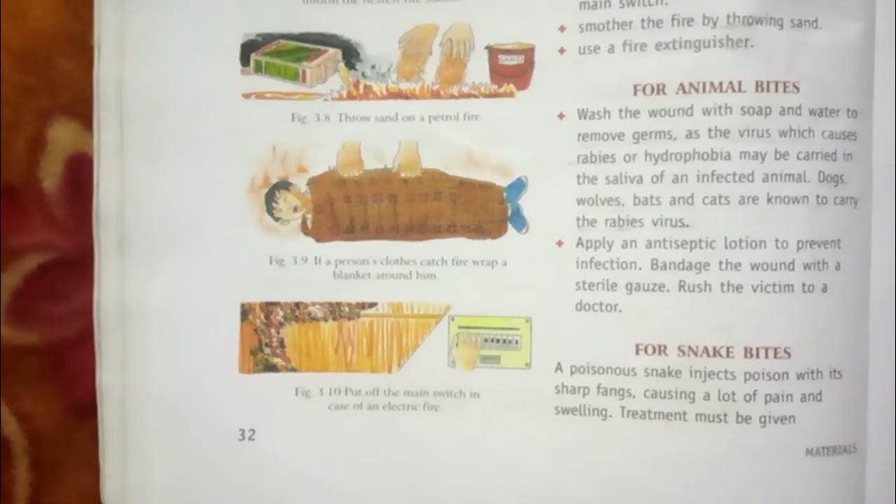 LIVING SCIENCE CLASS 5 CHAPTER 3 PART 5 YouTube living-science-class-5-chapter-3-part-5-youtube