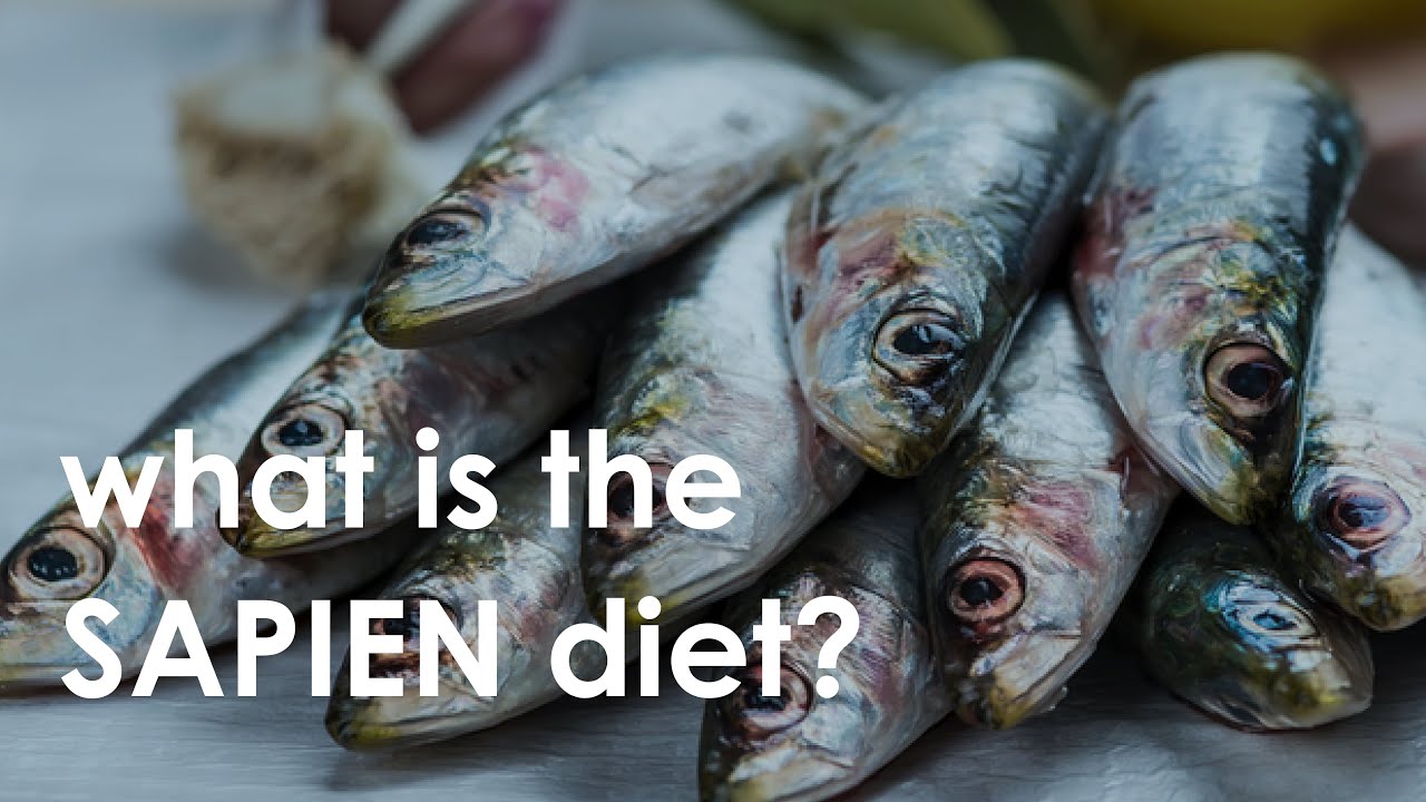 Introducing Sapien Diet - YouTube