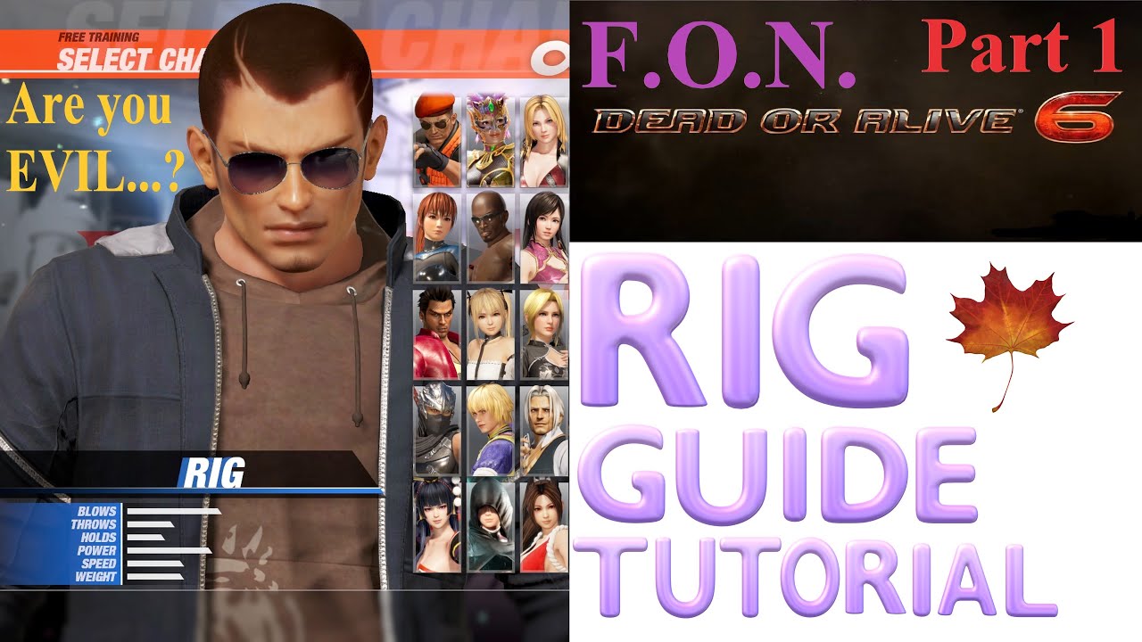 Dead or Alive 6: RIG GUIDE Tutorial - YouTube
