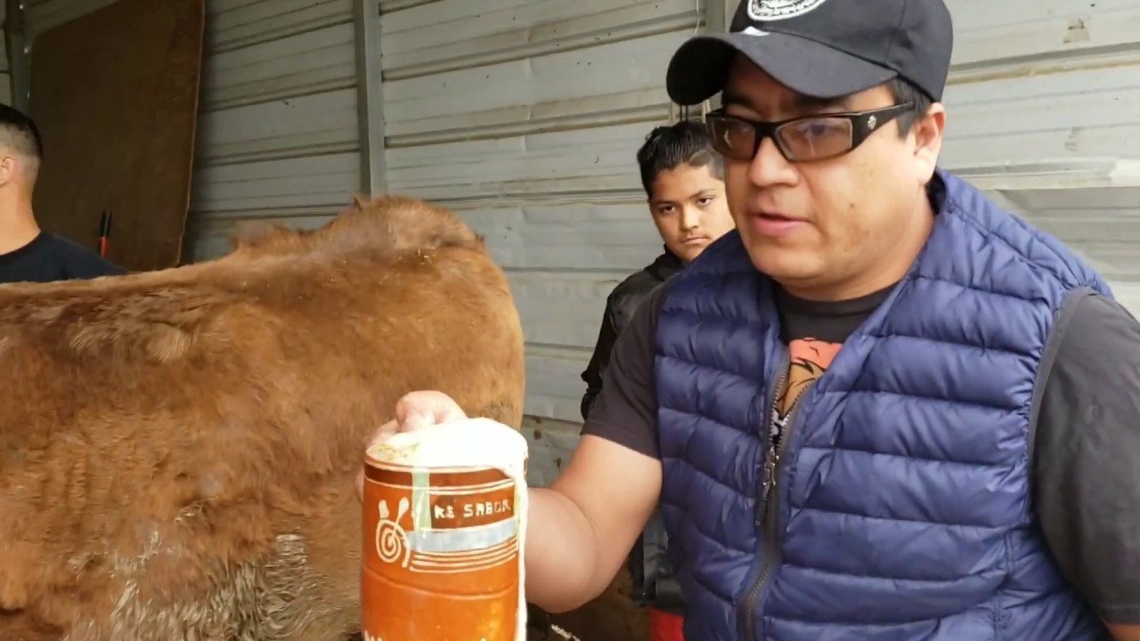 pajaretes bebida autentica del rancho al estilo Mexicano - YouTube