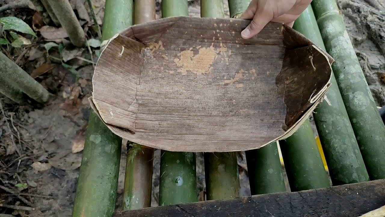 Bushcraft Malaysia - Make Natural DIY Sago Bowl - Bidayuh Tipakuoh Bowl ...