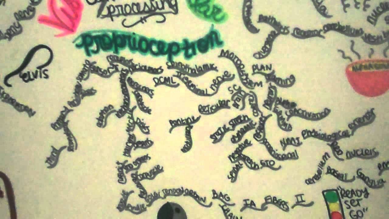 neuro mind map - YouTube