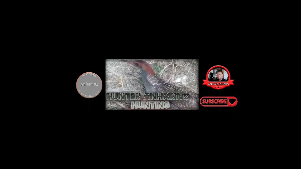 hukum berburu menurut islam/Islamic hunting laws - YouTube