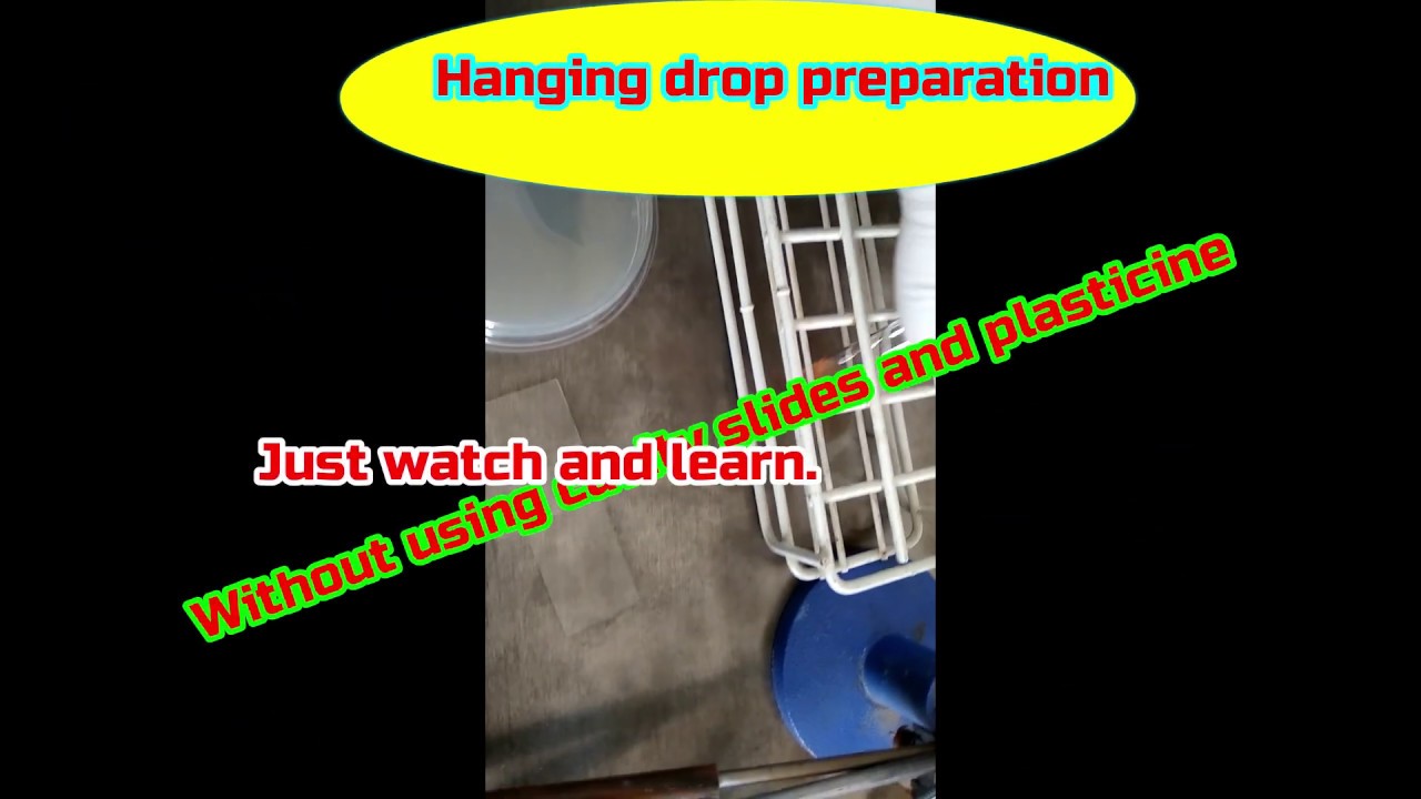 Hanging drop preparation procedure without using cavity slides and ...