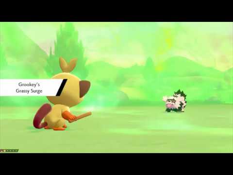I Am GROOK! LIVE Shiny Grookey - YouTube