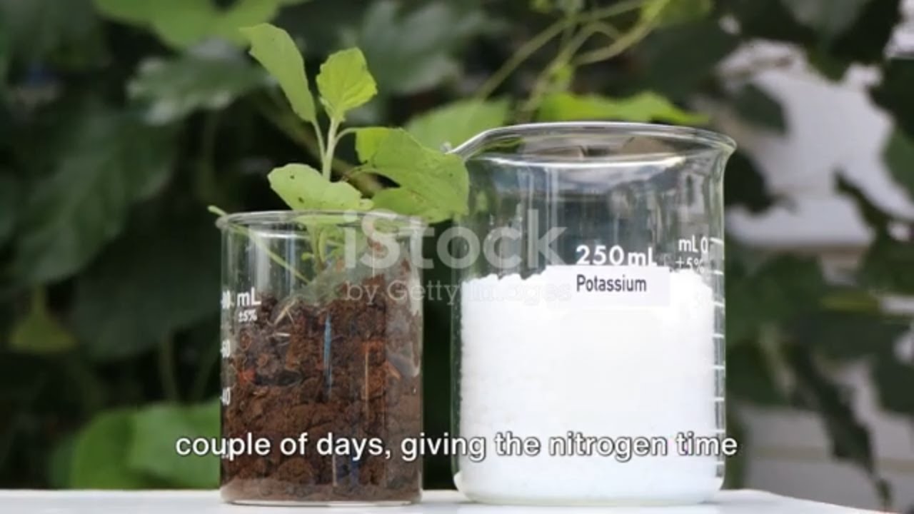 4-Minute Guide to Homemade Organic Fertilizers: NPK Edition - YouTube