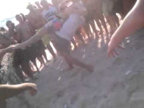 Spring break fight PCB - YouTube