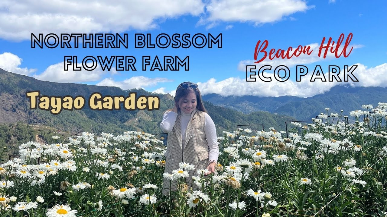 Northern Blossom, Tayao Garden & Beacon Hill Vlog - YouTube