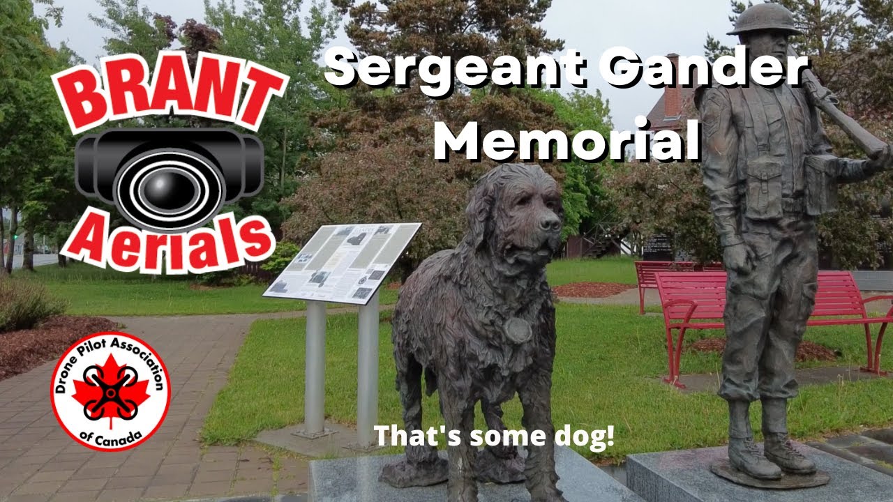 Sergeant Gander (Not a Disney ending) - YouTube