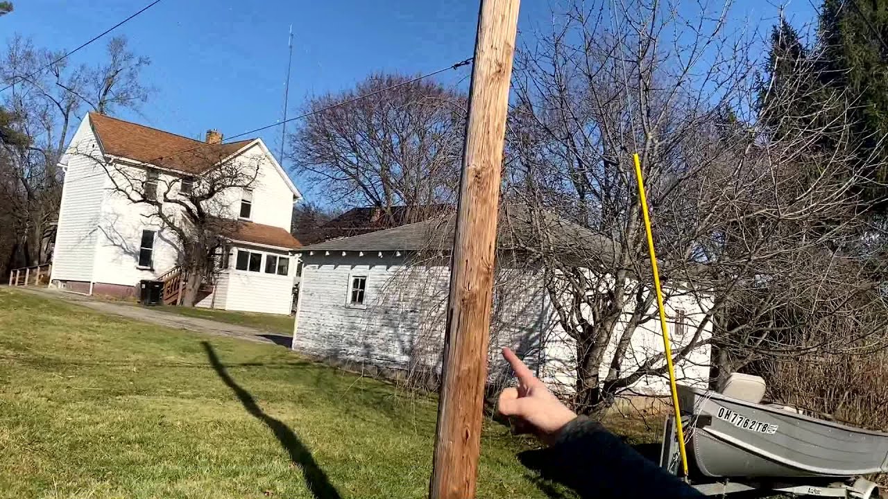 Amy Wadas - Reporter Update: Startling Animal Abuse - YouTube