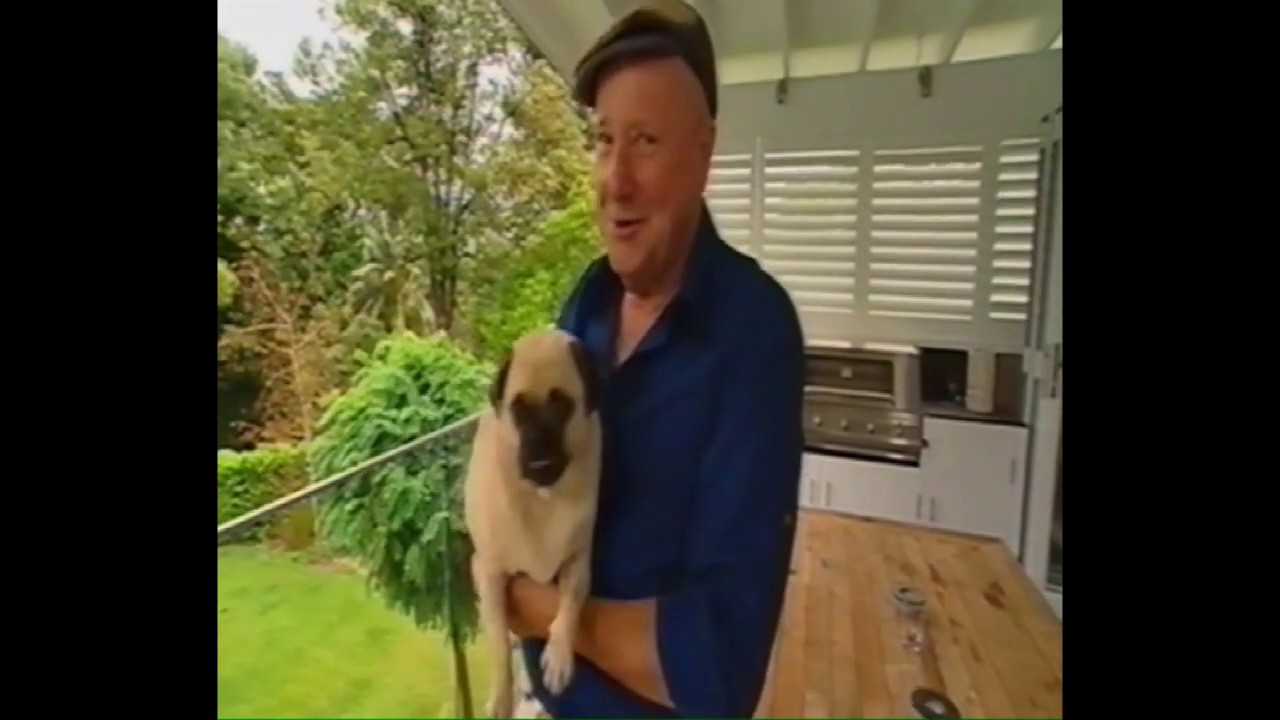 How to Give Dogs Medication - Dr Harry Cooper - YouTube