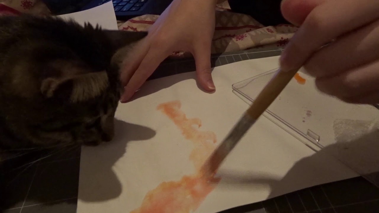 I tried to paint but the cat said lol no - YouTube