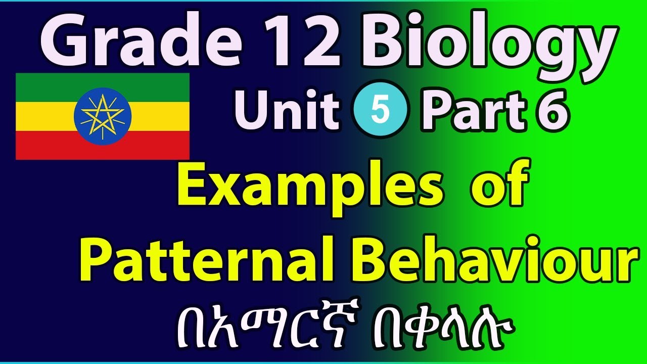 Grade 12 Biology Unit 5 part 6 examples of patternal behaviour - YouTube