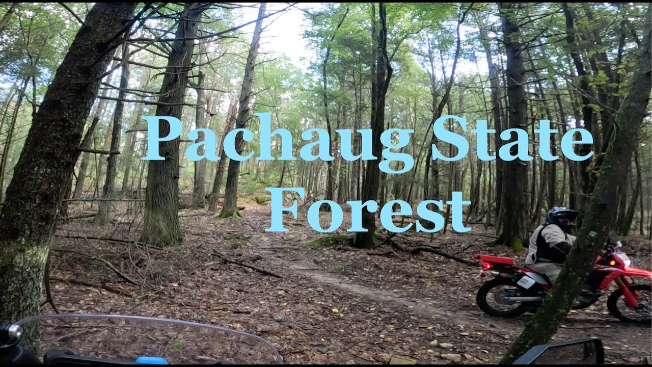Pachaug State Forest Day 1 Part 1 - YouTube