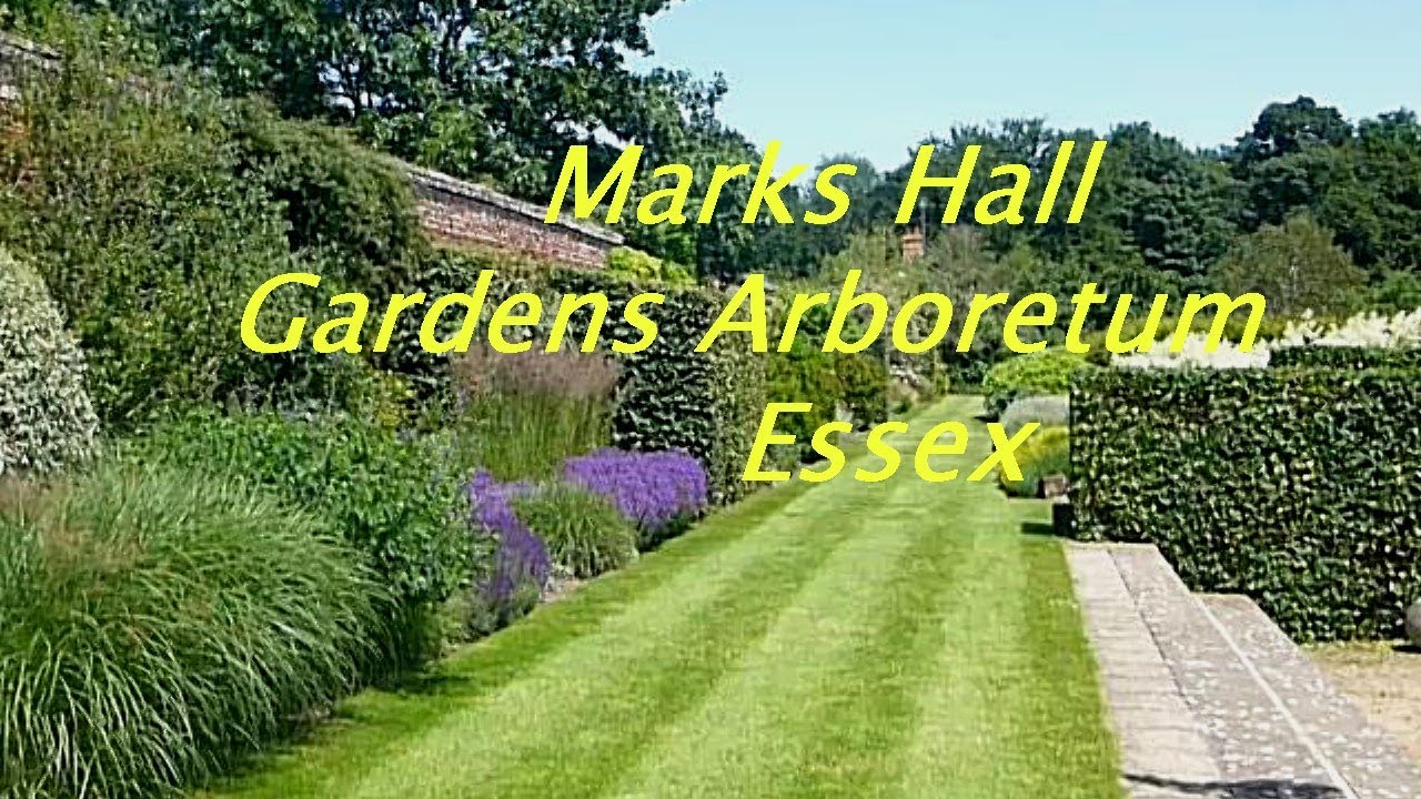 Marks Hall Gardens & Arboretum, Essex - YouTube