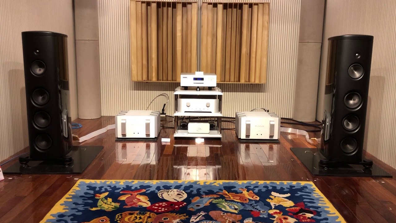 Ampli Plinius Sa Reference Pew M10 Và Cd Emm Labs Xds1 v2 cùng loa ...