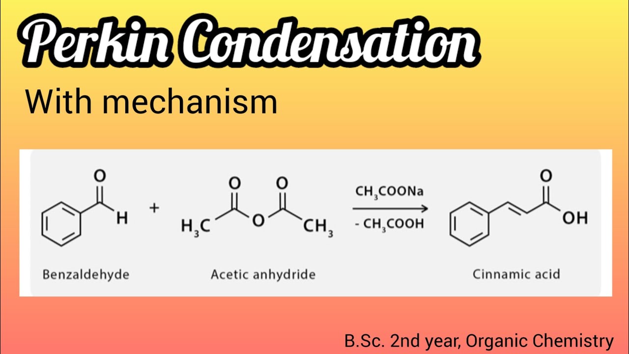Perkin Condensation reaction & it's Mechanism || B.Sc. 2nd year ...