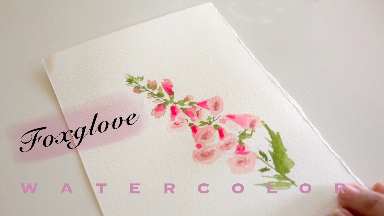 How to Paint Basic Foxglove with watercolor |Loose watercolor painting ...