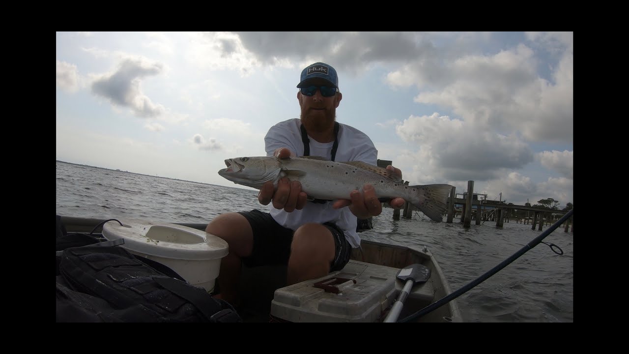FISHING DOCKS WITH LIVE BAIT FOR TROUT AND REDFISH. - YouTube
