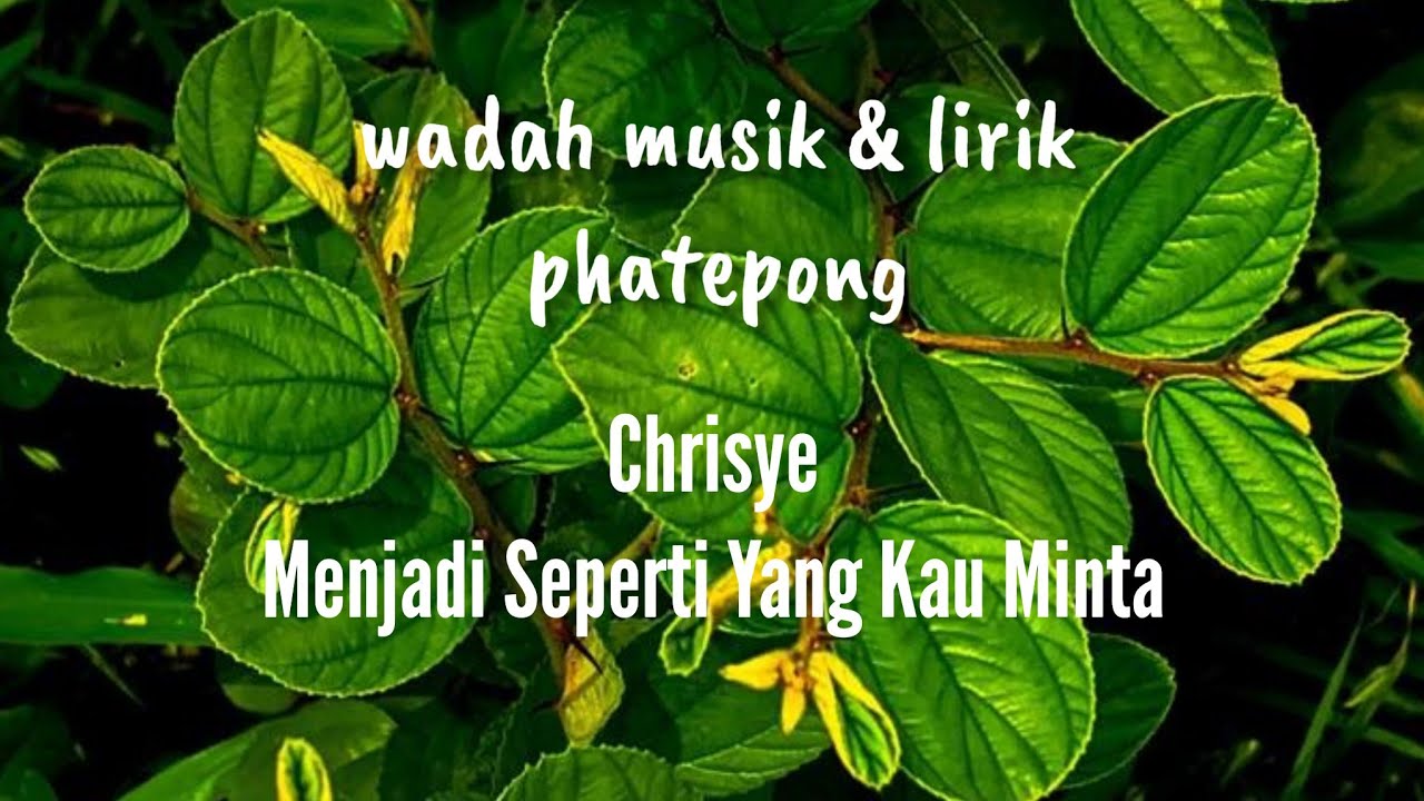 Chrisye - Seperti Yang Kau Minta//wadah musik & lirik@Phatepong - YouTube