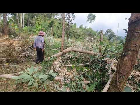 luaj teb hnub kawg yuav rov qab mus tsev 21/2/2023 - YouTube