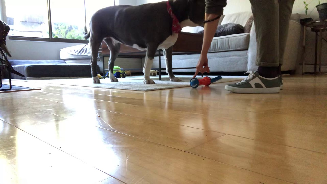 Boo dead retrieve 1 February 21 - YouTube