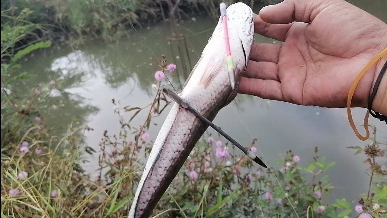 vlg#22/Hirap mag hanap ng spot/HTE HUNTER N.P, ️ ️🙏🙏 - YouTube