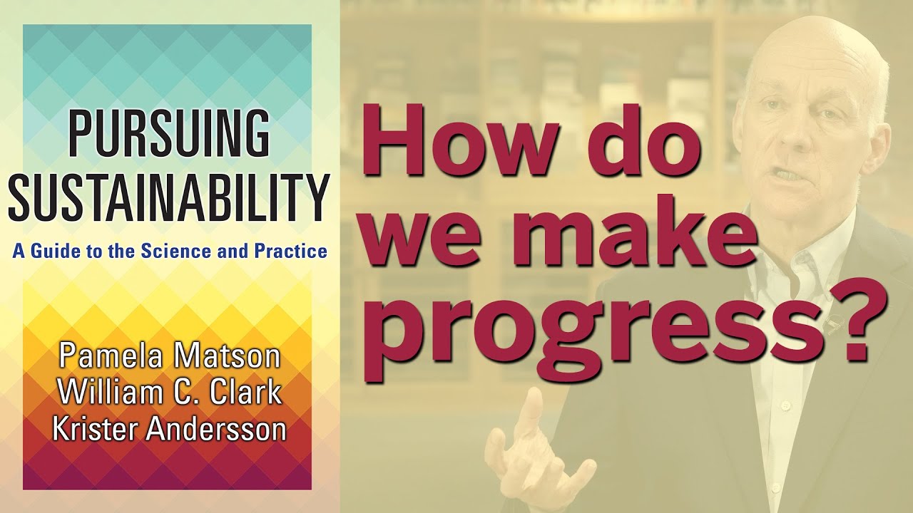 Pursuing Sustainability: How Do We Make Progress? - YouTube