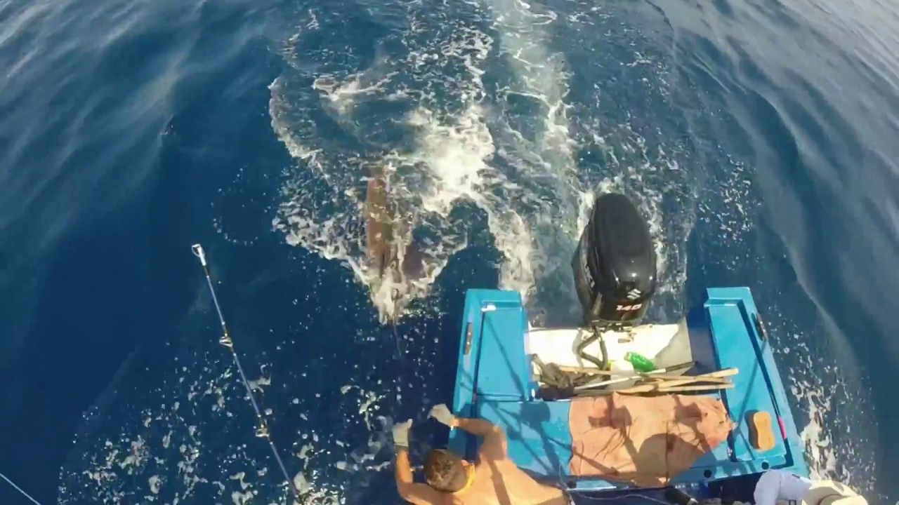 Mako 27 Jul - YouTube