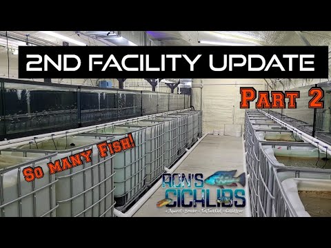 Part 2 Update Video of our 2nd Facility (Showing all the fish!) - YouTube