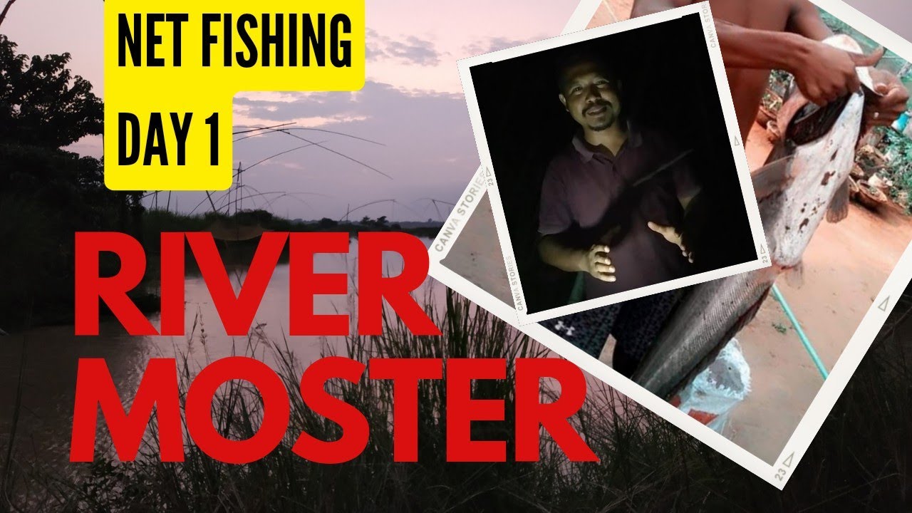 Net fishing River Monster Day 1 - YouTube