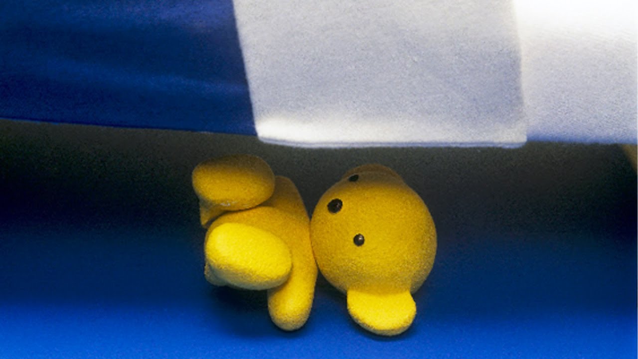 Miffy's Missing Bear | Miffy and Friends | Classic Animated Show - YouTube