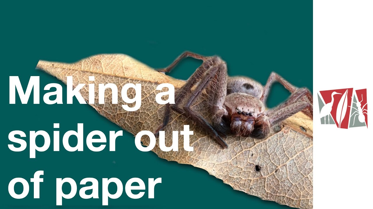 Making a spider out of paper - YouTube