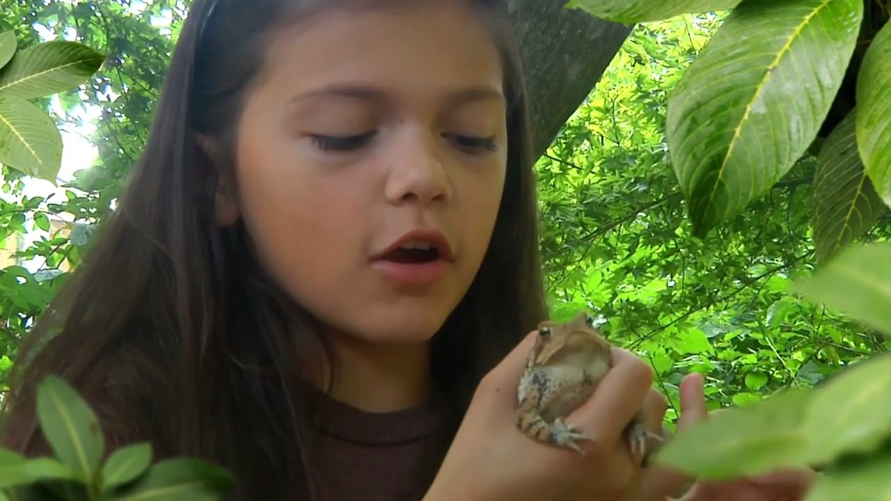 Froggy Girl Auto Lip Sync - YouTube