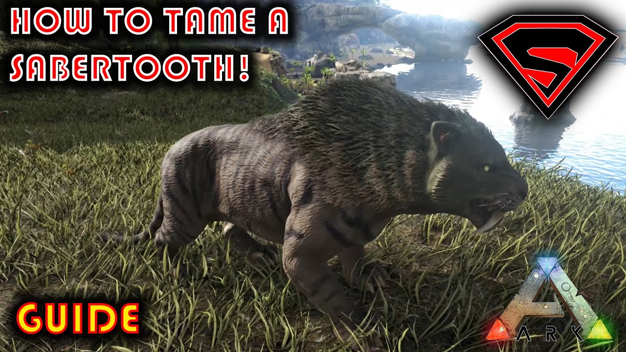 ARK HOW TO TAME A SABERTOOTH 2020 - EVERYTHING YOU NEED TO KNOW ABOUT ...